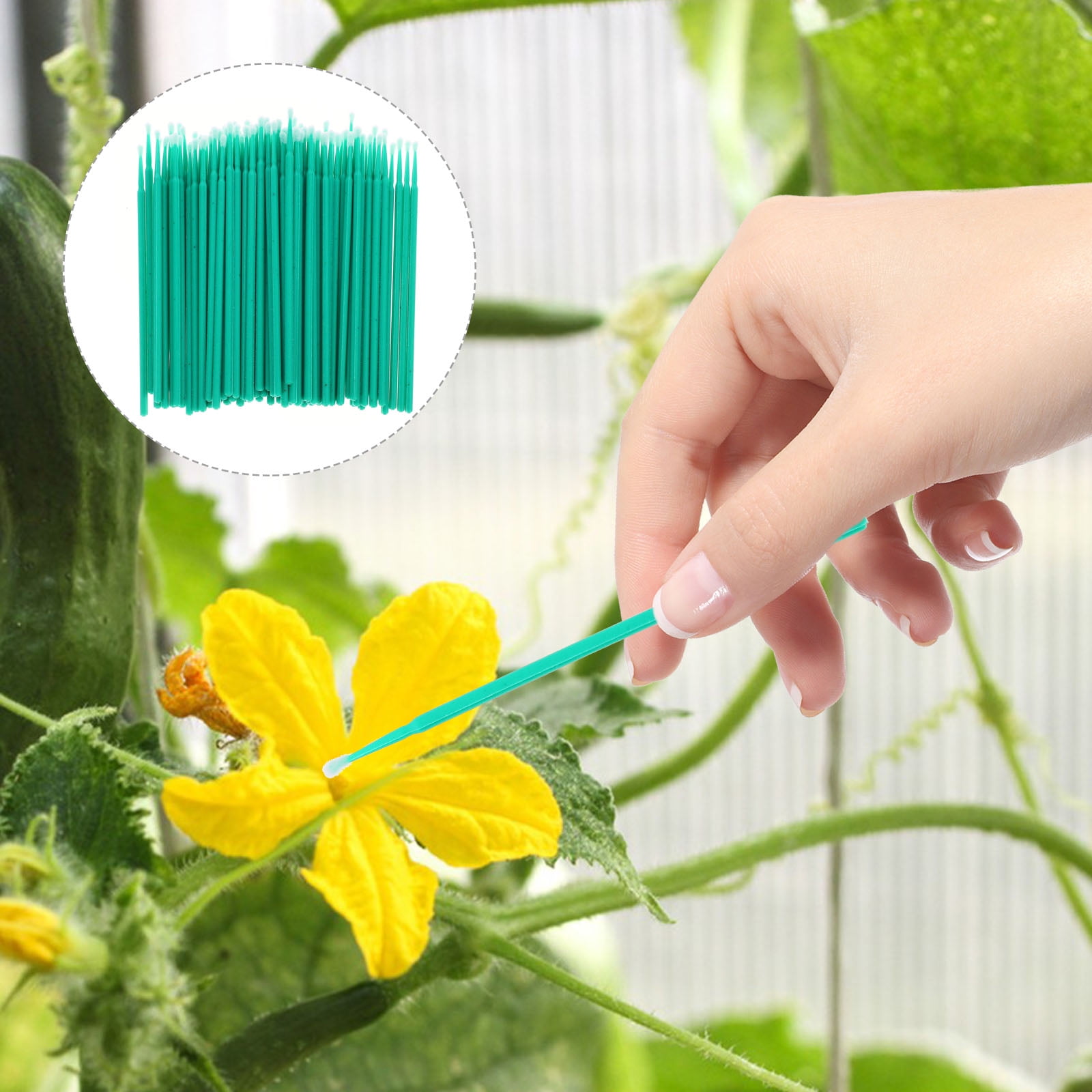Raindrops 100Pcs Garden Pollinator Pollinator Tool Vegetable Pollinator ...