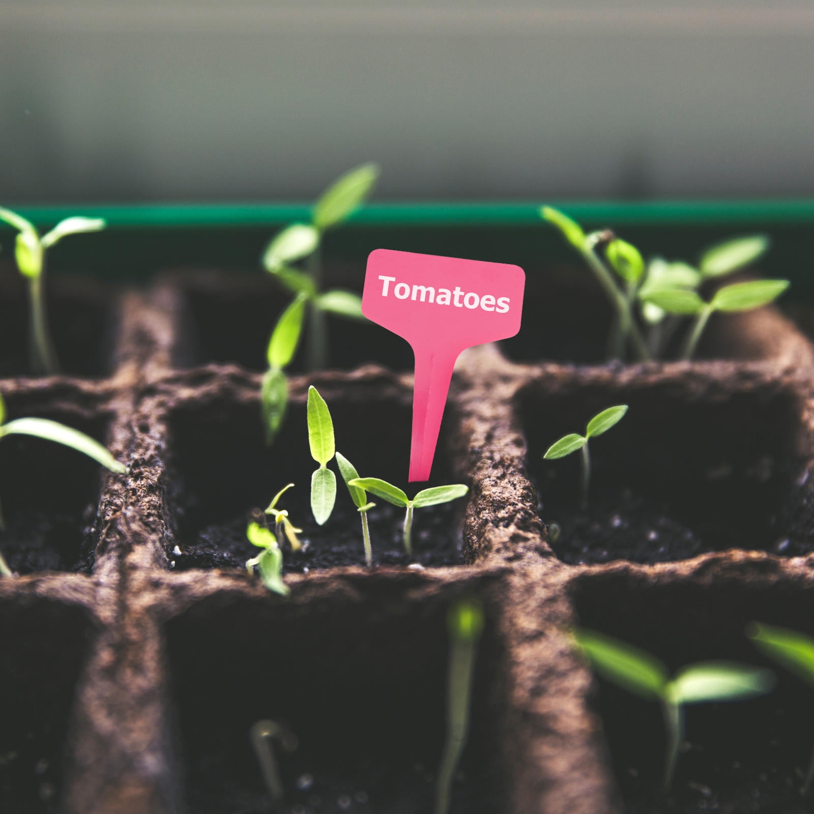 Raindrops 100Pcs Shape PVC Garden Label Stakes For Plants - Walmart.com