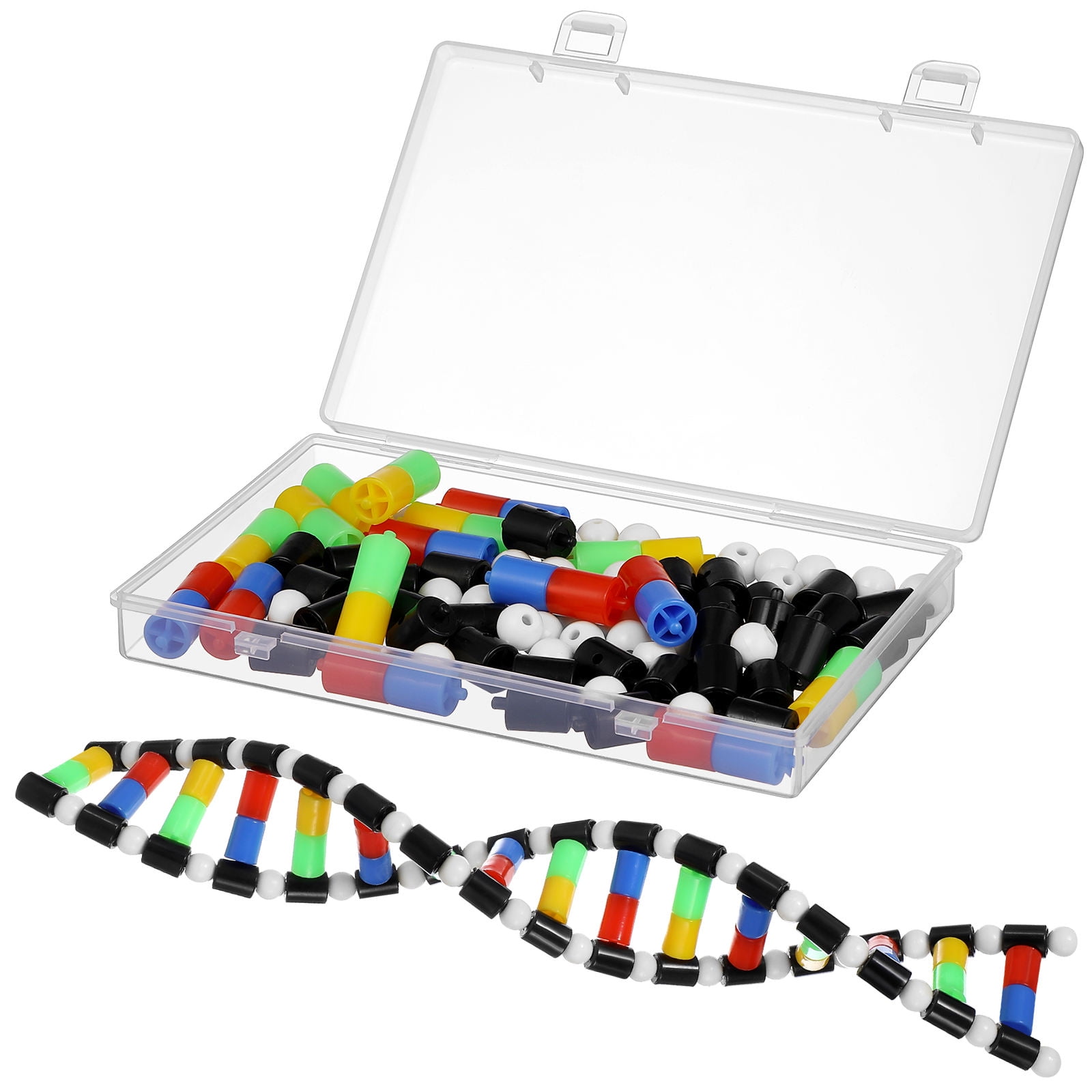 Raindrops 10pcs DNA Model Double Helix Model DNA Display Component for ...