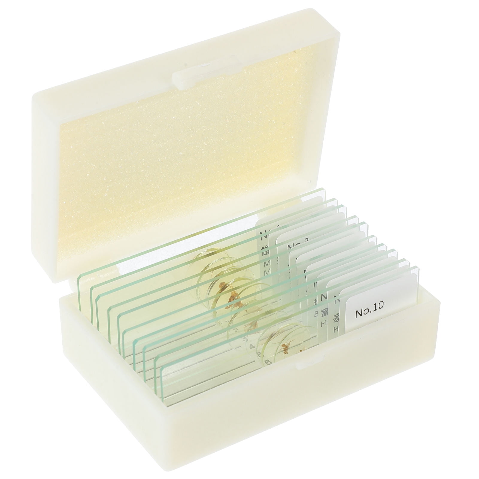 Raindrops 10pcs Prepared Microscope Slides with Specimens for Kids ...