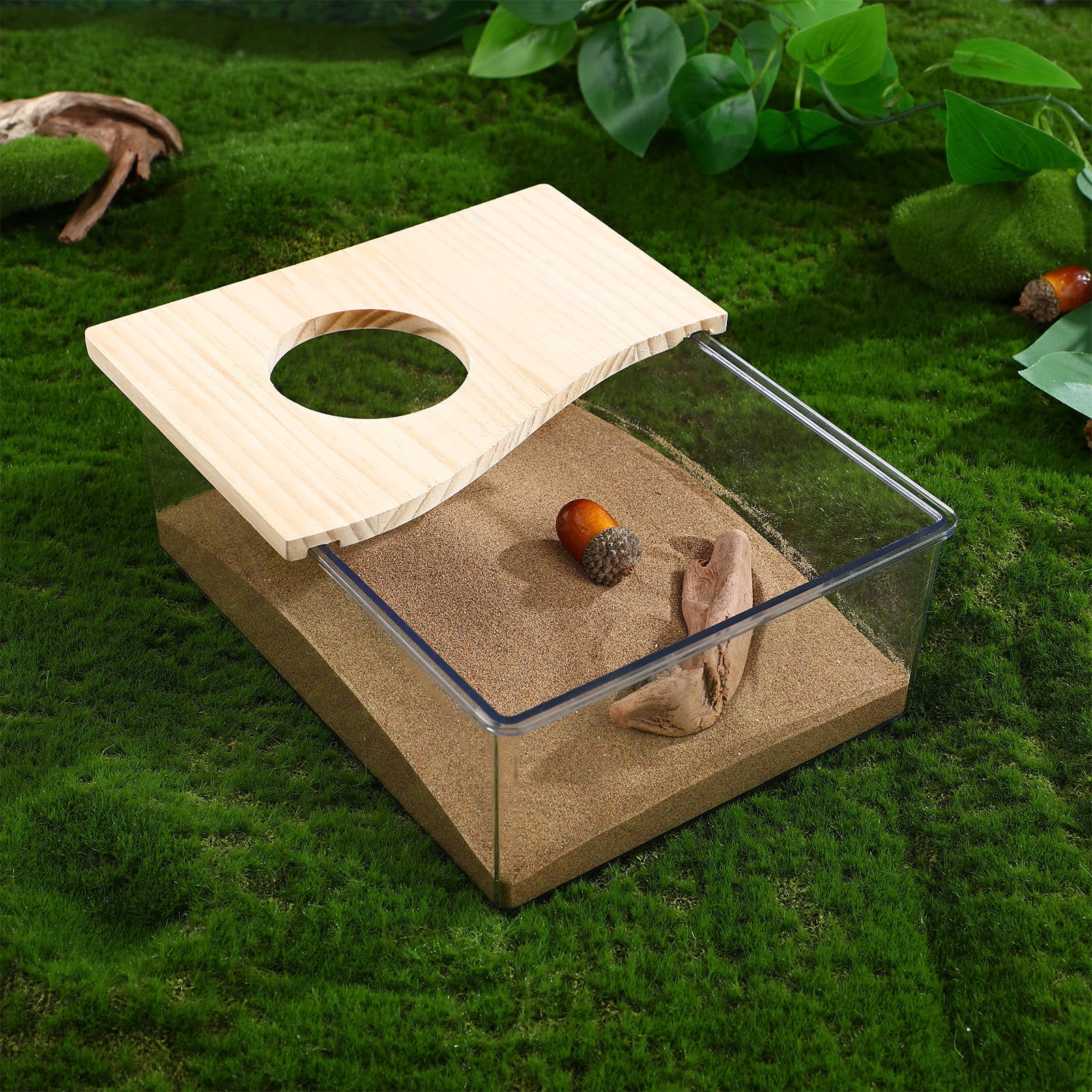 Raindrops 11Pcs Wood Hamster Sand Bath Box Simple Shape Pet Care ...