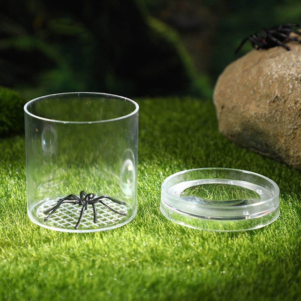 Raindrops 15 Pcs Insect Observation Cup Small Bug Pots Catcher for ...