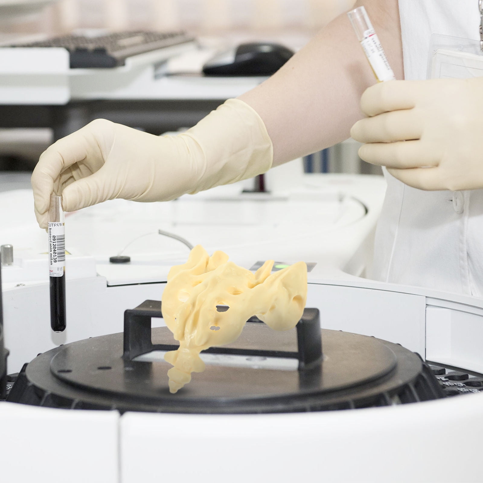 Raindrops 1Pc Sacrum Bone Anatomy Model Medical Sacrum Anatomical Model ...