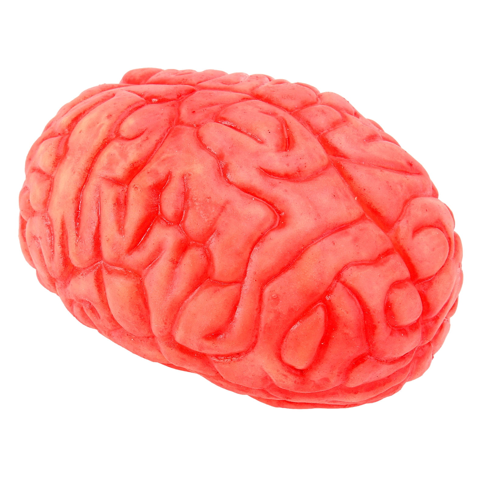 Raindrops 1Pcs Prop Fake Organ Human Brain Red Plastic Scary Effect for ...