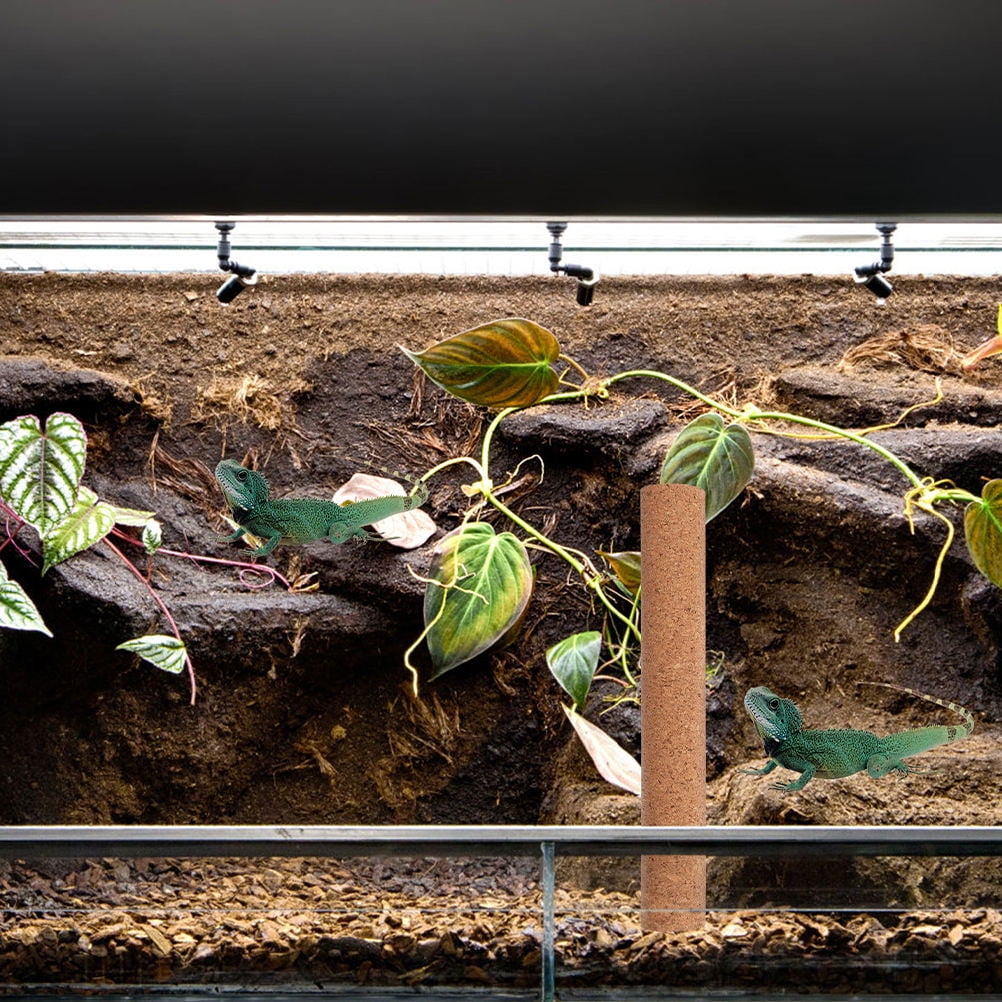 Raindrops Reptile Basking Platform Light Brown Lizards Pet Shop 1Pack 7 ...