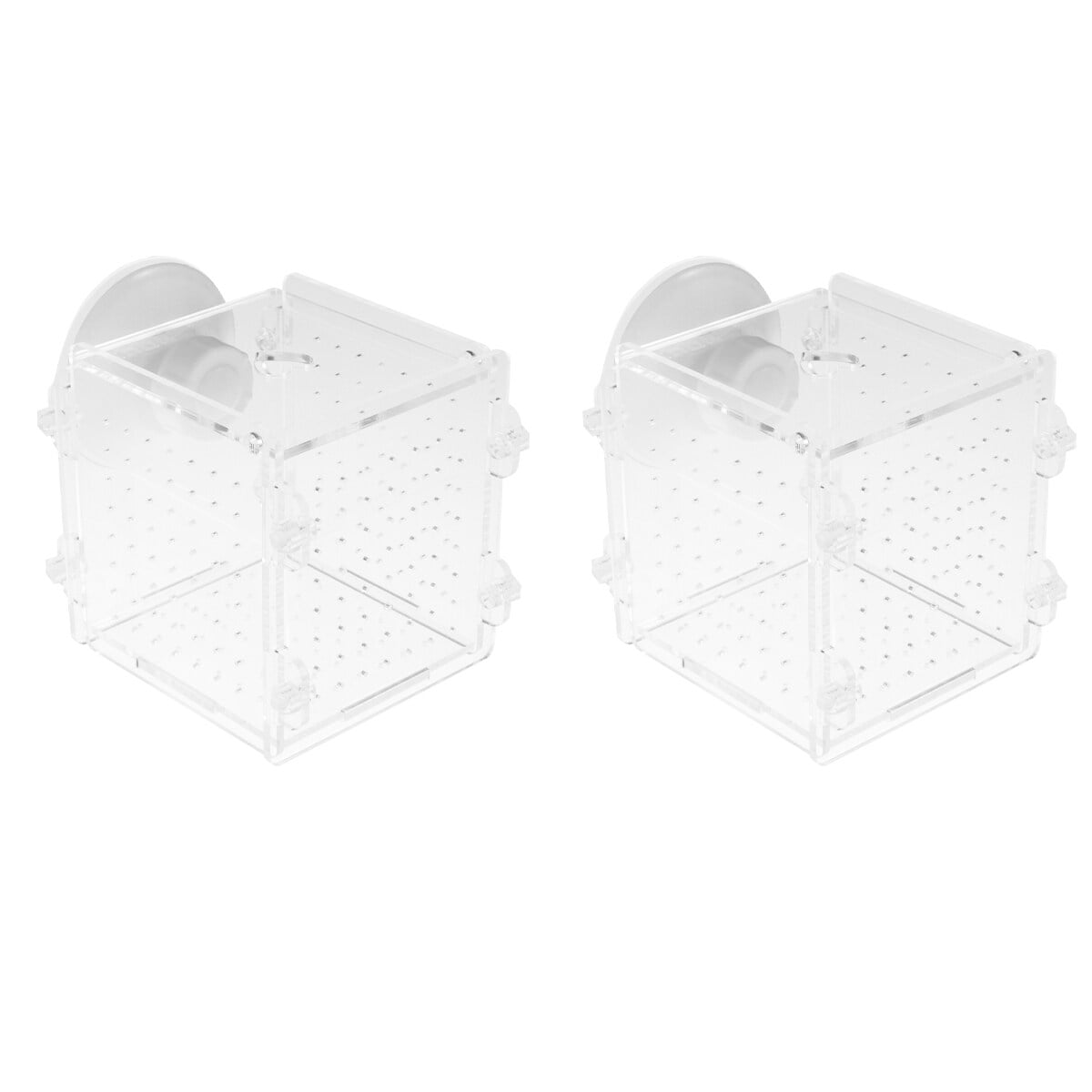 Raindrops Fish Breeding Isolation Box Made of Acrylic Transparent and ...