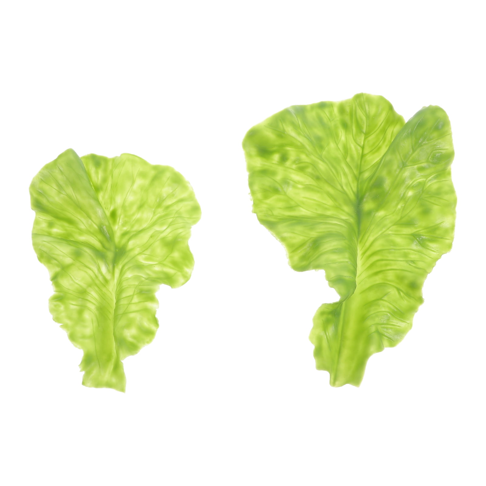 Raindrops 2pcs Realistic PVC Artificial Lettuce Leaf Models for Kitchen ...