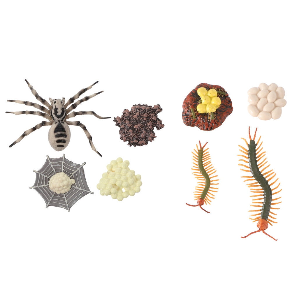 Raindrops 2 Sets Growth Cycle Ornament Model Wolf Spider Turtle ...
