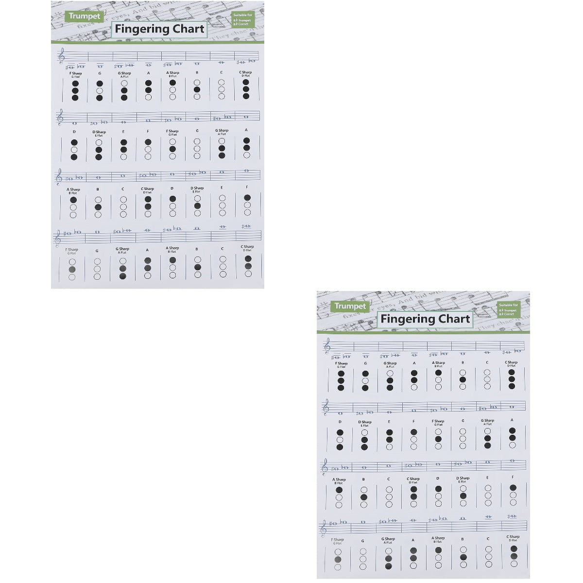 Raindrops 2 pcs Trumpet Chord Practice Chart Beginners Chart Finger ...