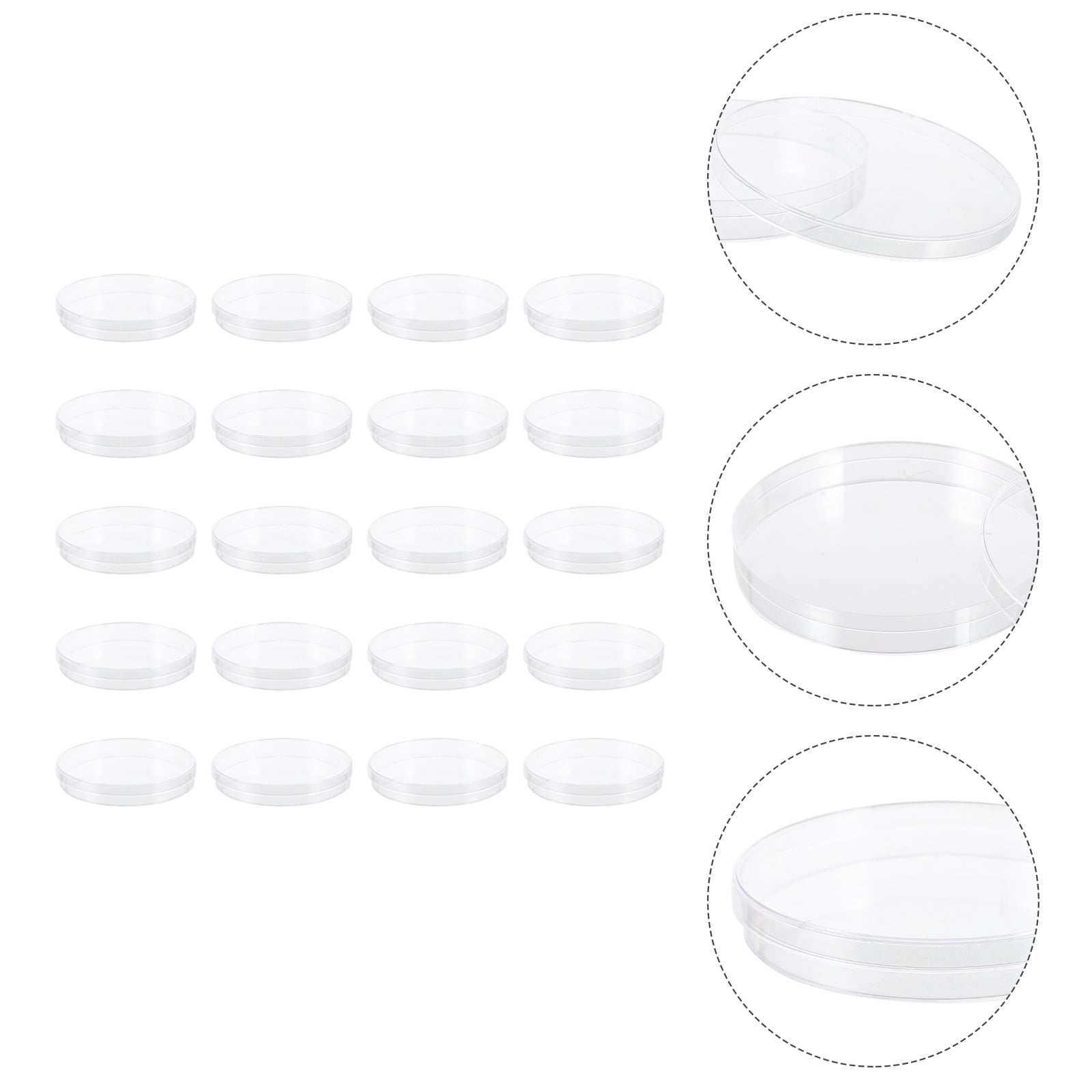 Raindrops 20 Pcs Agar Plates Mycology Dish Culture Dishes Transparent ...