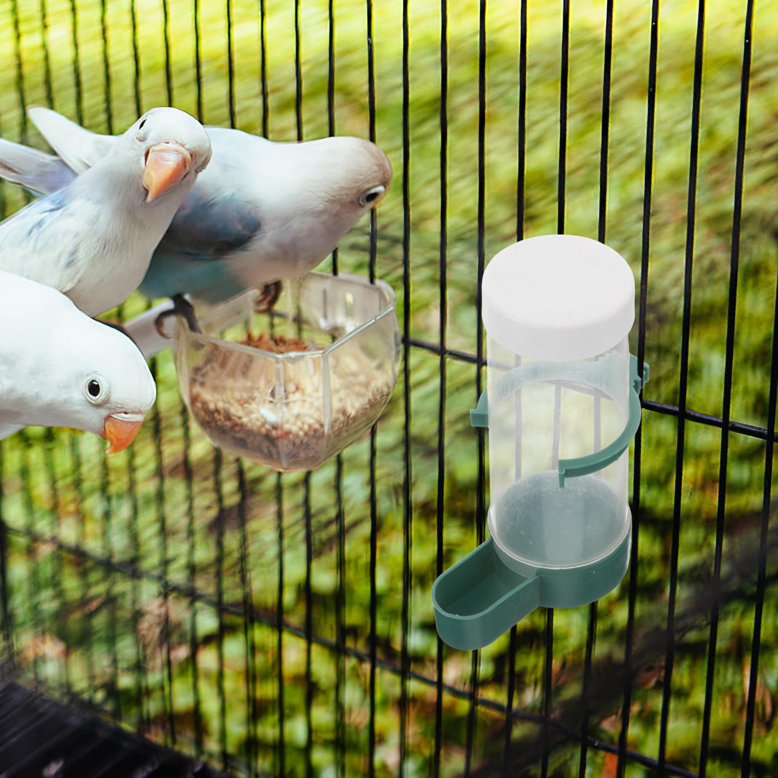 Raindrops 20 Pcs Bird Water Dispenser Automatic Parrot Water Feeder ...