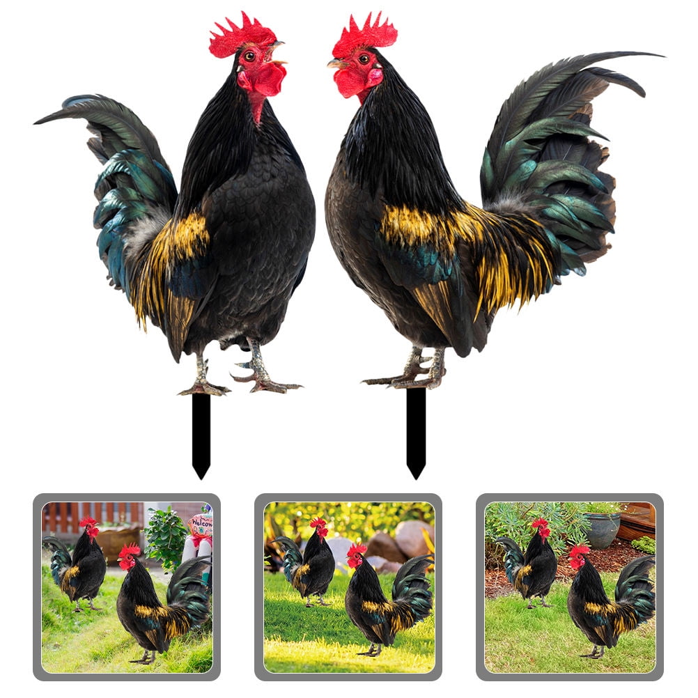 Raindrops 2Pcs Garden Chicken Stake Art Acrylic Rooster Yard Arts ...
