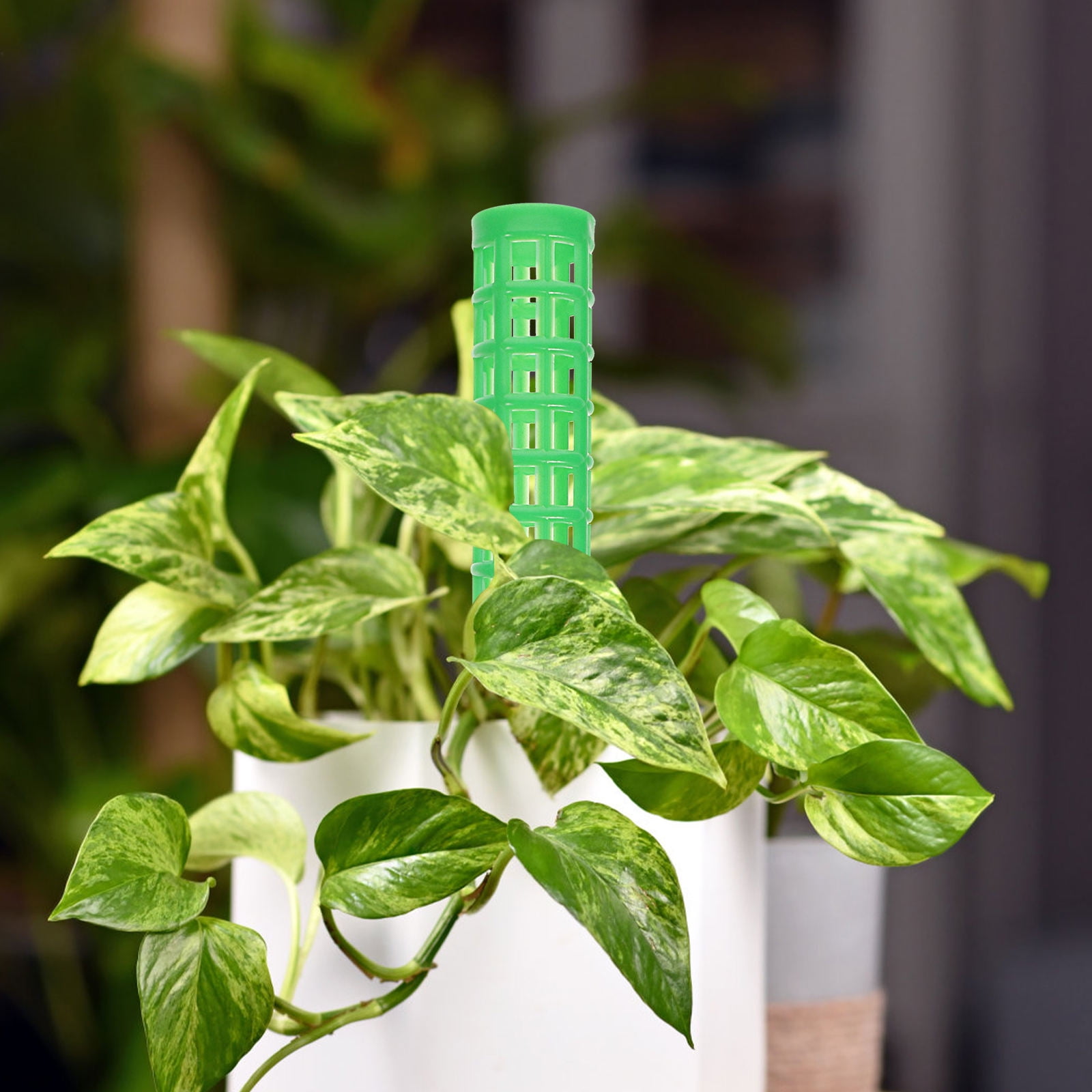 Raindrops 2Pcs Moss Pole for Indoor Plants Plastic Plant Poles Climbing ...