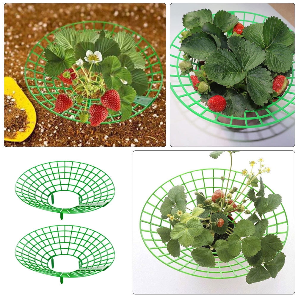 Raindrops 2Set Green Strawberry Stand Planting Frame Plastic Support ...