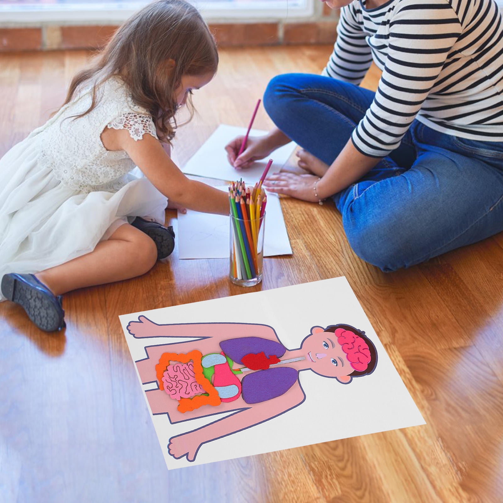 Raindrops 2Sets Kids Anatomy Toys for Science Experiment and Size ...