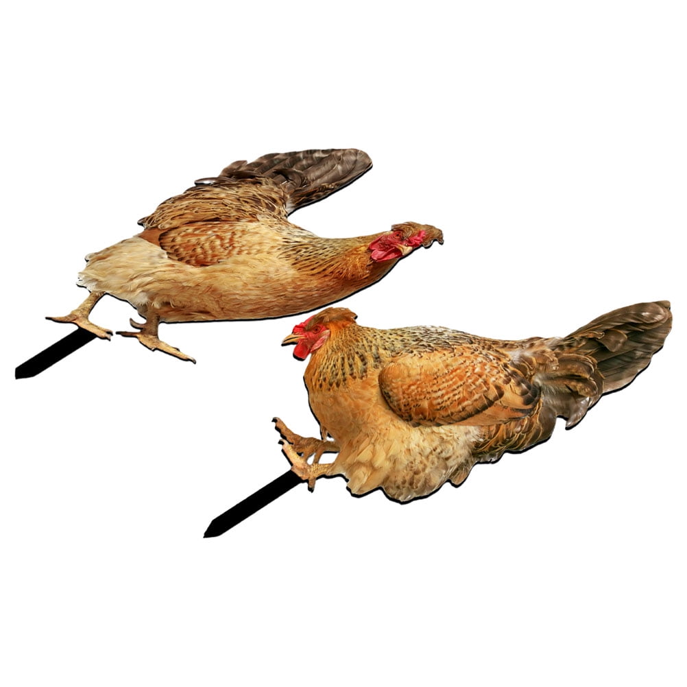 Raindrops 2pcs Chicken Rooster Garden Stakes Outdoor Decor Hen Chick ...