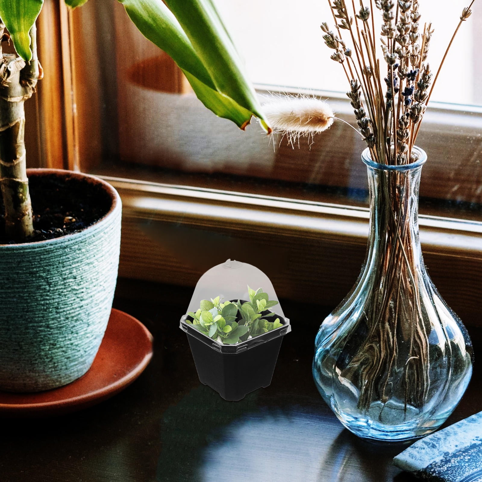 Raindrops 3 Sets Starter Plant Pots With Humidity Domes In Black PP ...
