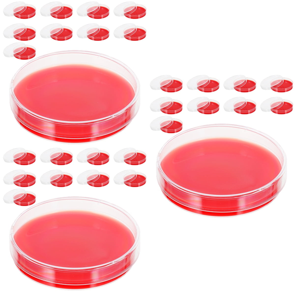 Raindrops 30 pcs Infusion Agar Plates Blood Agar Culture Medium ...