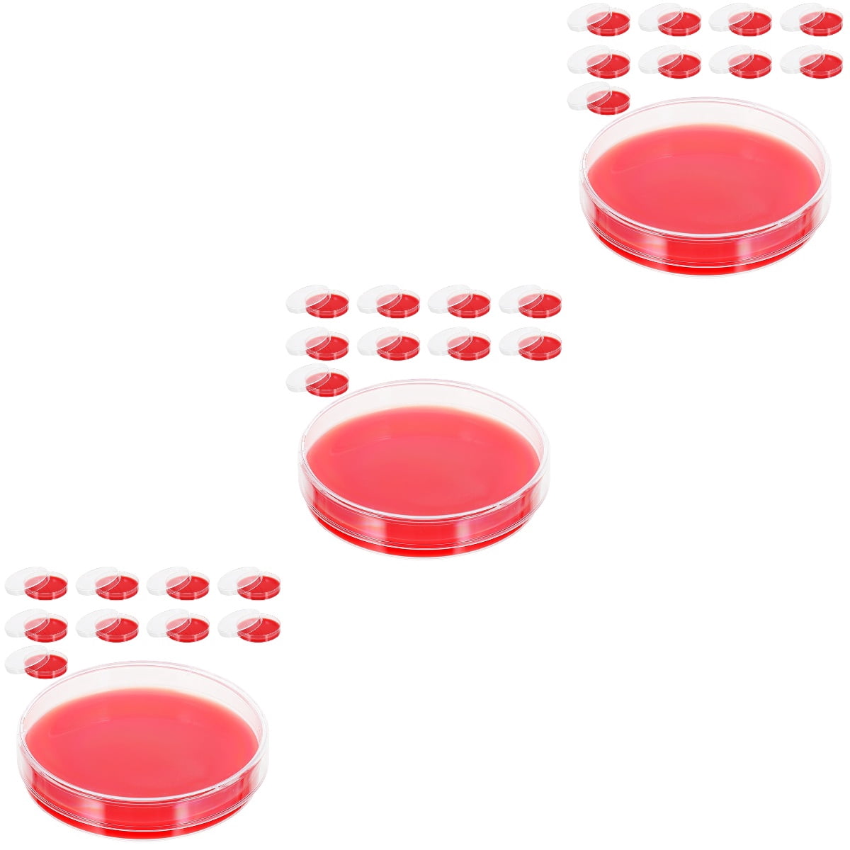 Raindrops 30 pcs Infusion Agar Plates Blood Agar Culture Medium ...