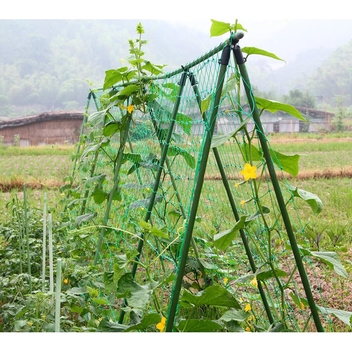 Raindrops 3Pcs Rectangular Mesh Nylon Net Netting for Plants with ...