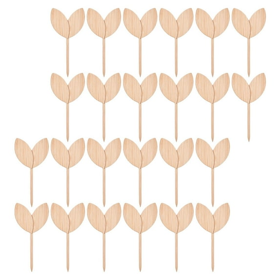 Raindrops 40pcs Horticultural Tags Stakes Wood Plant Tags Landscape ...