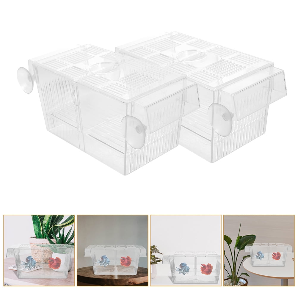 Raindrops 4pcs Double-Layer Fish Fry Incubator Self-Floating Betta ...