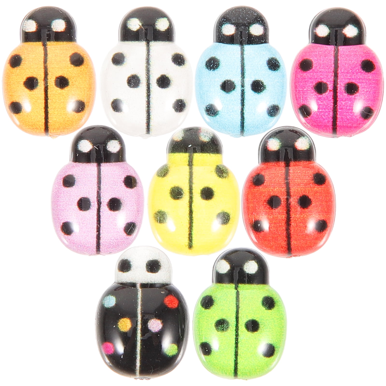 Raindrops 5 Pack Dolls Succulent Micro Landscape Potted Plant Insect ...