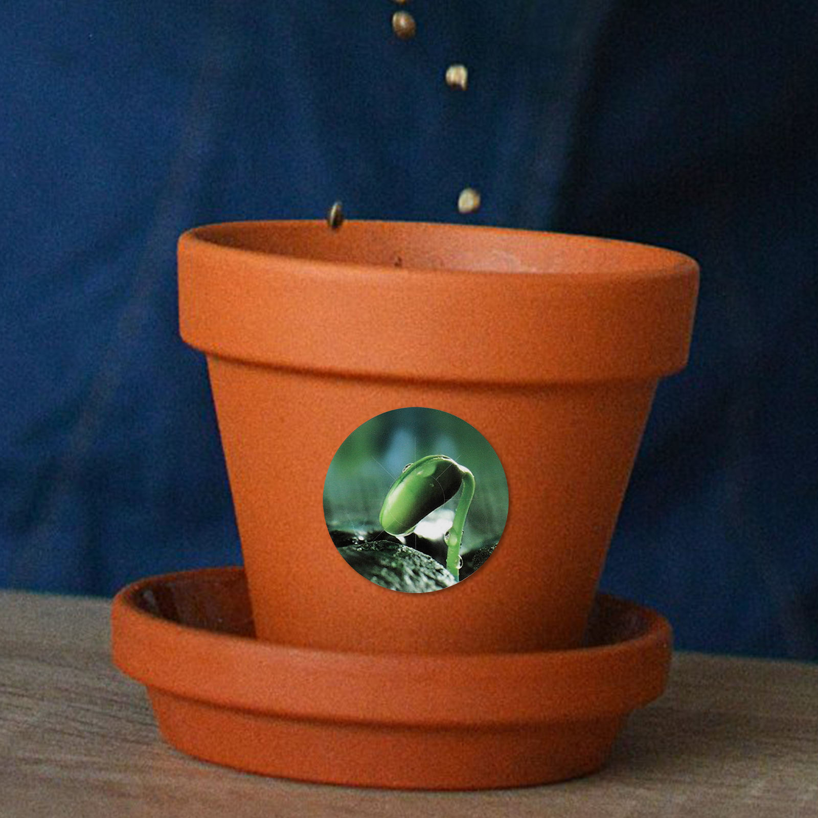 Raindrops 5 Sheets PVC Seed Pot Labels for Hydroponic Plant Growth ...