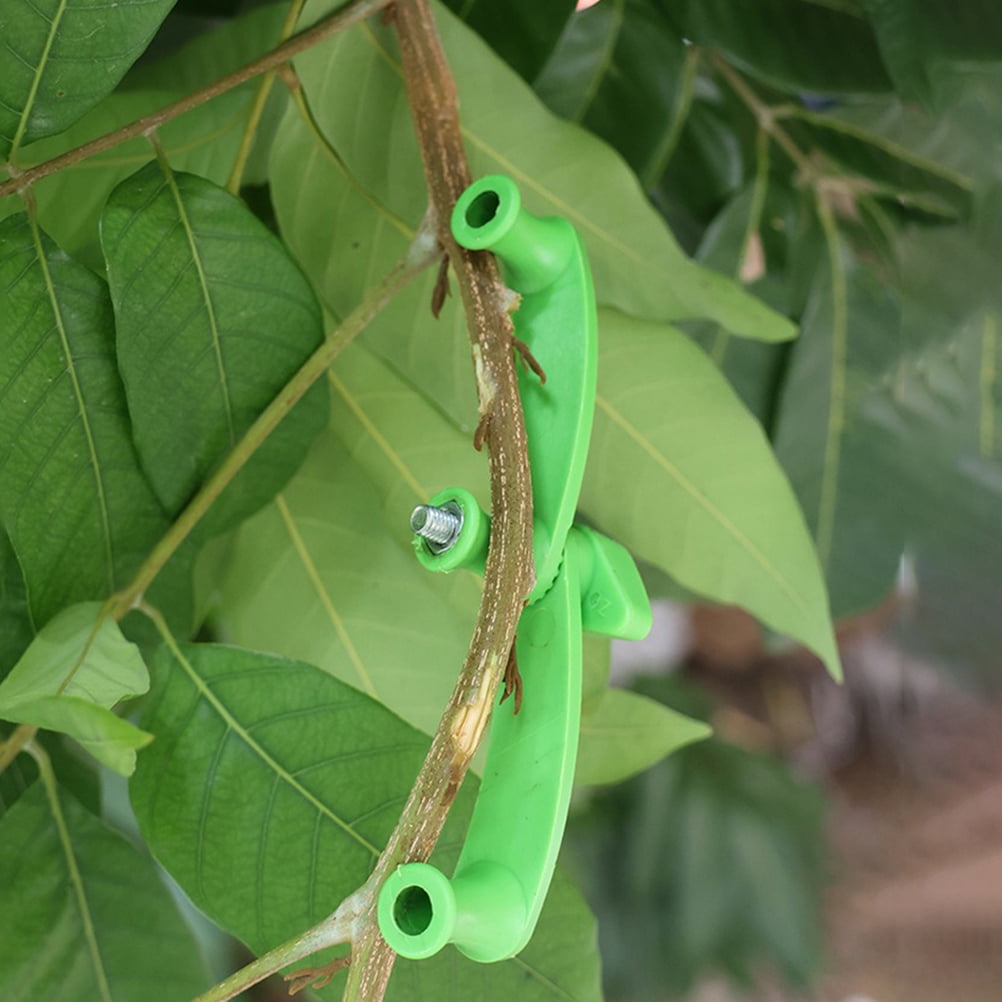 Raindrops 5PCS Fruit Trees Limb Spreaders Adjustable Fruit Tree Branch ...