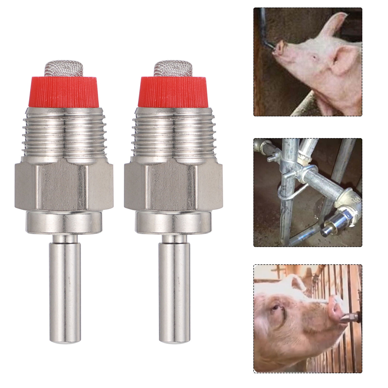 Raindrops 5Pcs Pig Waterer Prevent Leakage Silver 2.5X2.5X7Cm Stainless ...