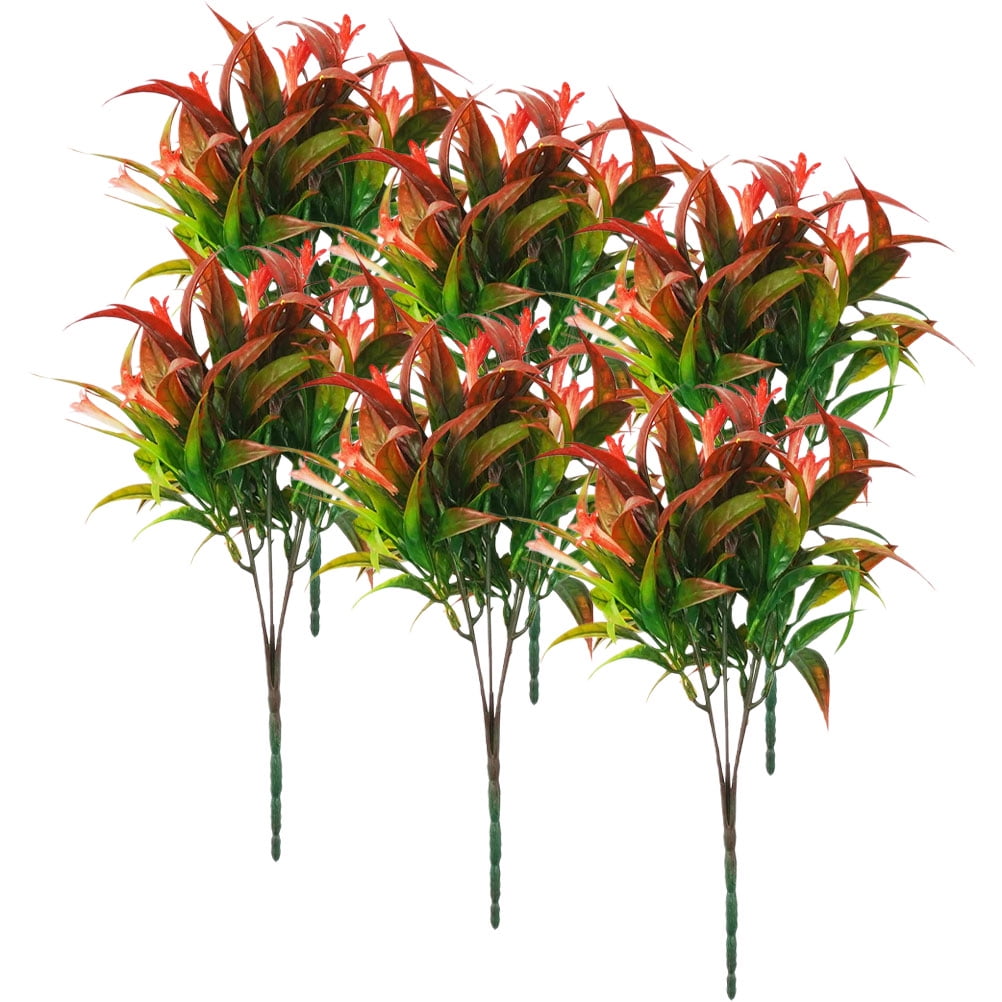 Mourning Bride Flower