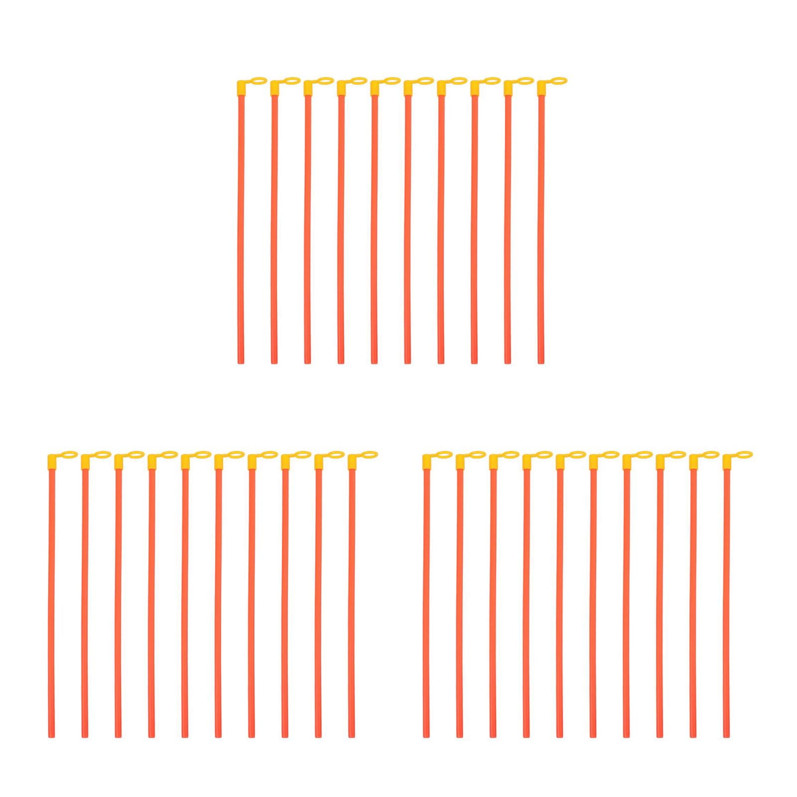 Raindrops 60 Pcs Lantern Holder Walking Sticks Plastic Lantern Sticks ...