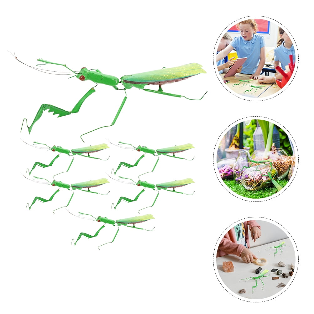 Raindrops 6Pcs Insect Teaching Model Mantis Insect Model Assorted Color ...