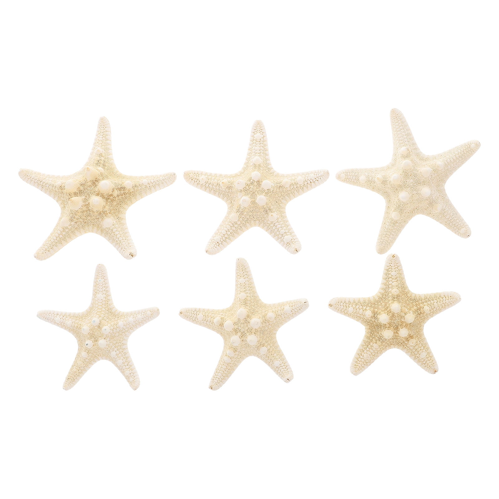 Raindrops Beach Hair Accessories Sea Star Shape 6Pcs Resin for Women ...