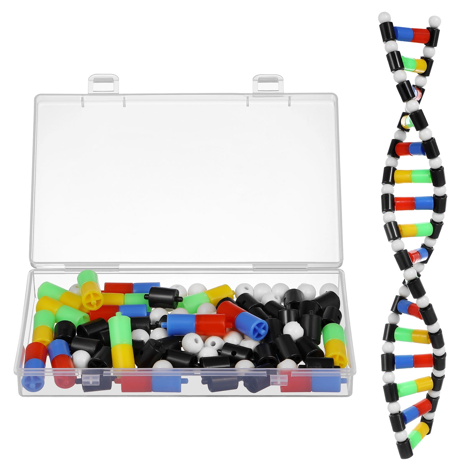 Raindrops 6pcs DNA Model Double Helix Model DNA Display Component for ...