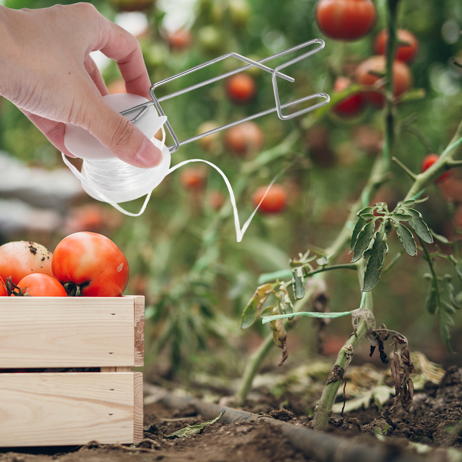 Raindrops 6pcs Tomato Roller Hooks With String Tomato Roller Hooks For ...