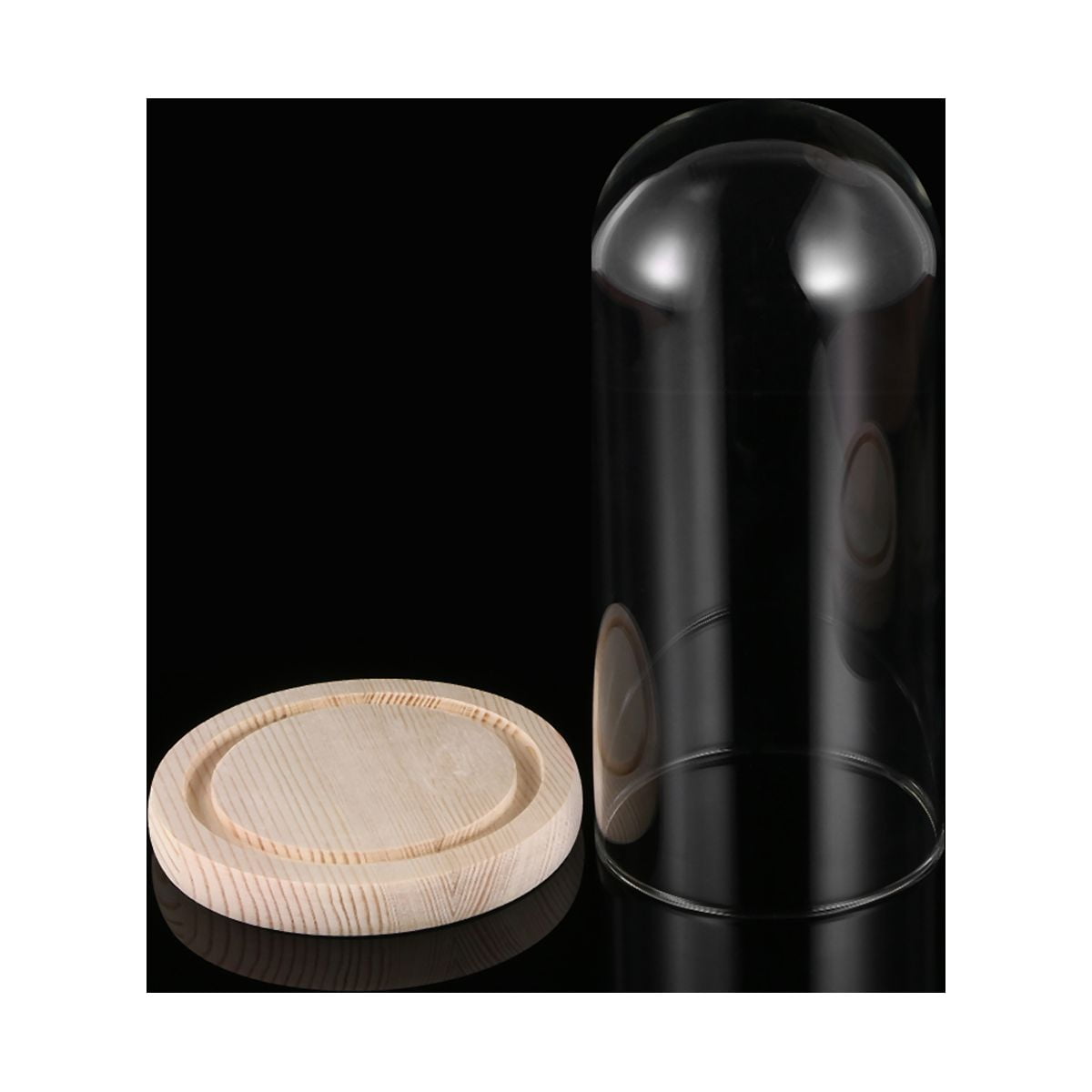 Raindrops 9 X24cm DIY Eternal Rose Preserved Flower Glass Cover Fine ...