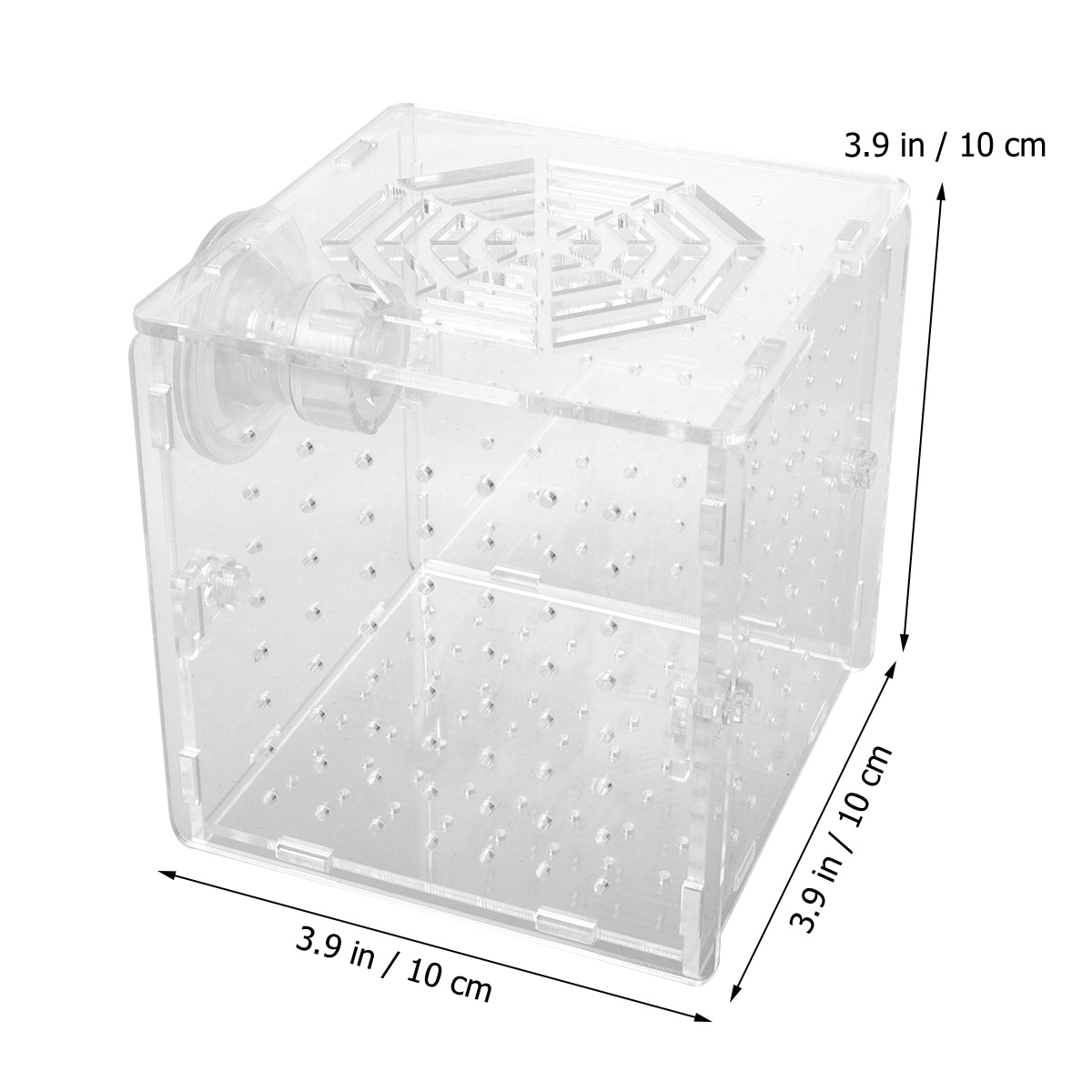 Raindrops Acrylic Isolation Box Transparent Fish Breeding Tank Aquarium ...