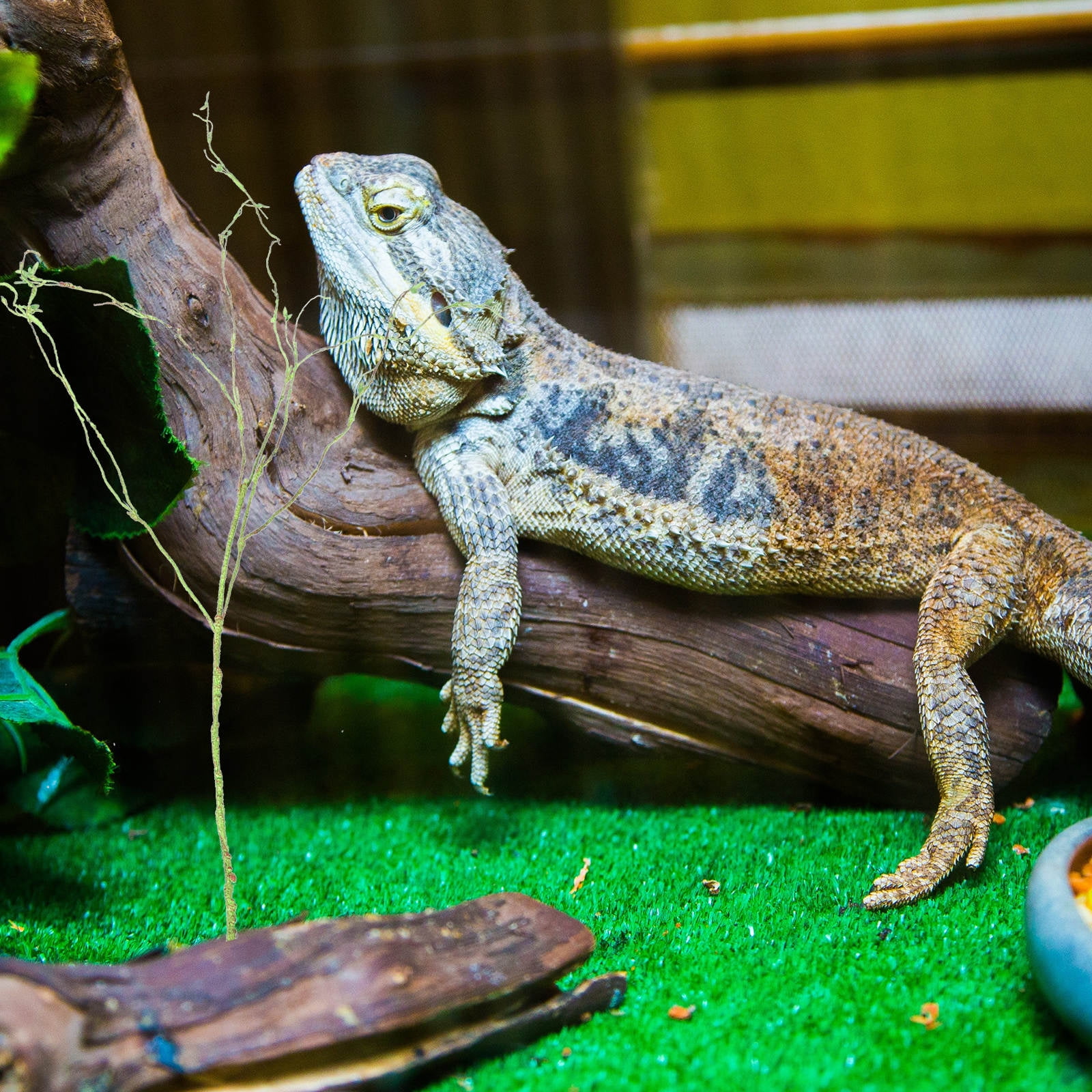 Raindrops Green Reptile Tank Decor Artificial Vine for Climbing Pets ...