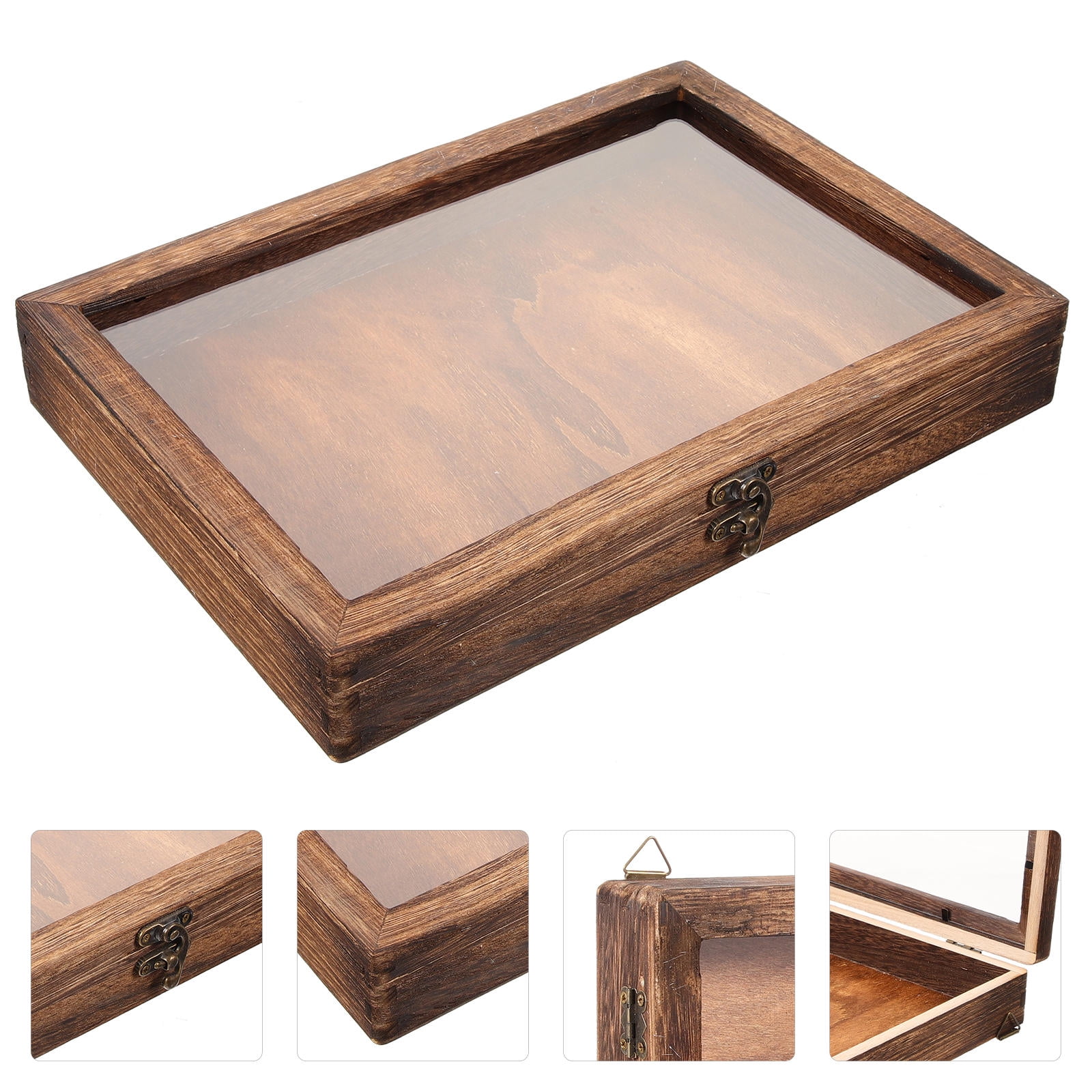 CRILSTYLEO Insect Display Case Brown Wood Acrylic 1Pack 12X8.7X1.7In ...