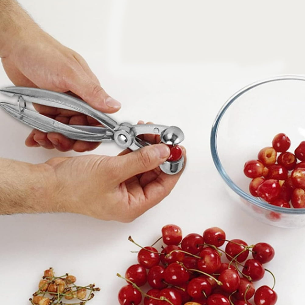 Raindrops Cherry Pitter Tool for Removing Pits from Fruits like ...