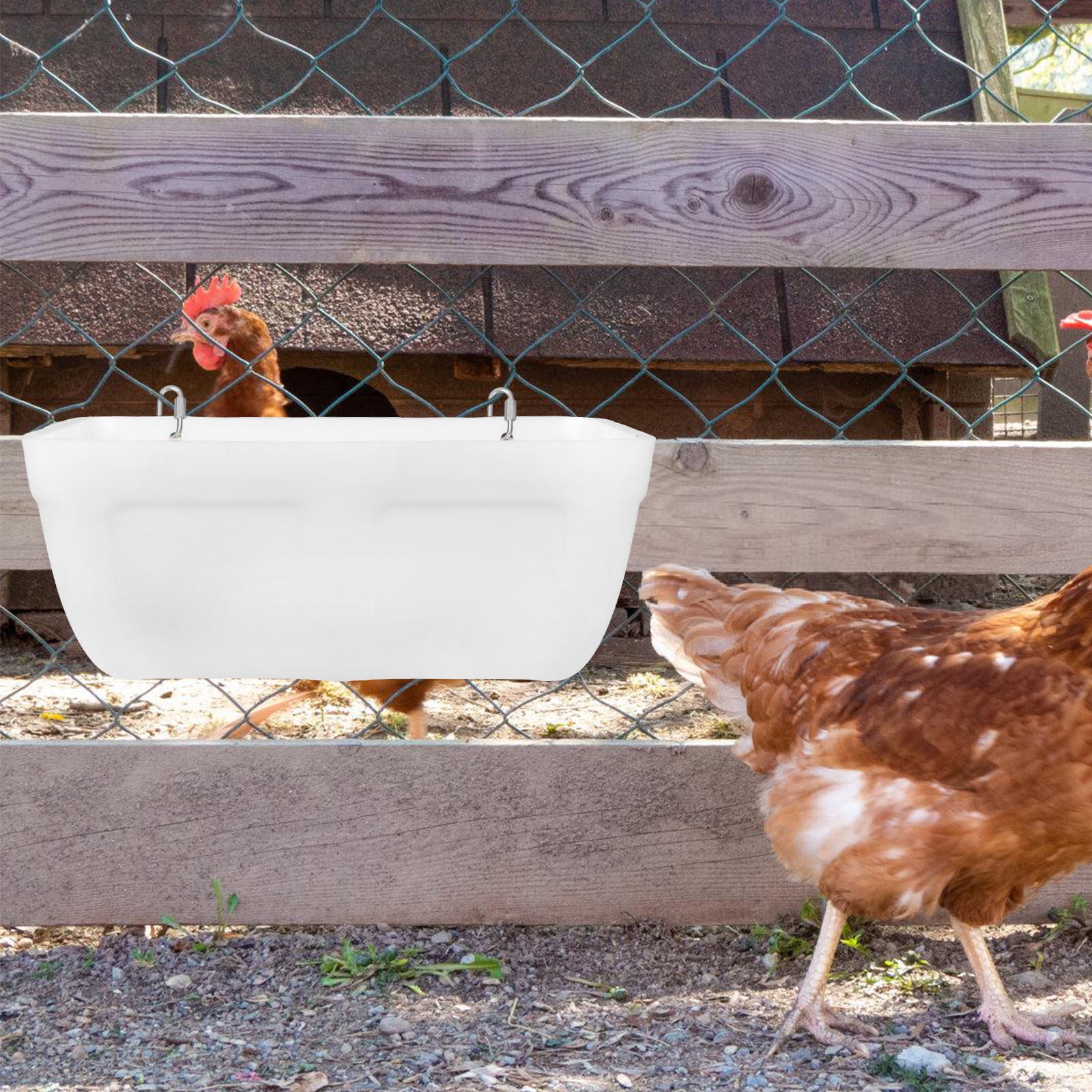 Raindrops Chicken Feeder Trough, Plastic Chicken Water Feeder Water ...