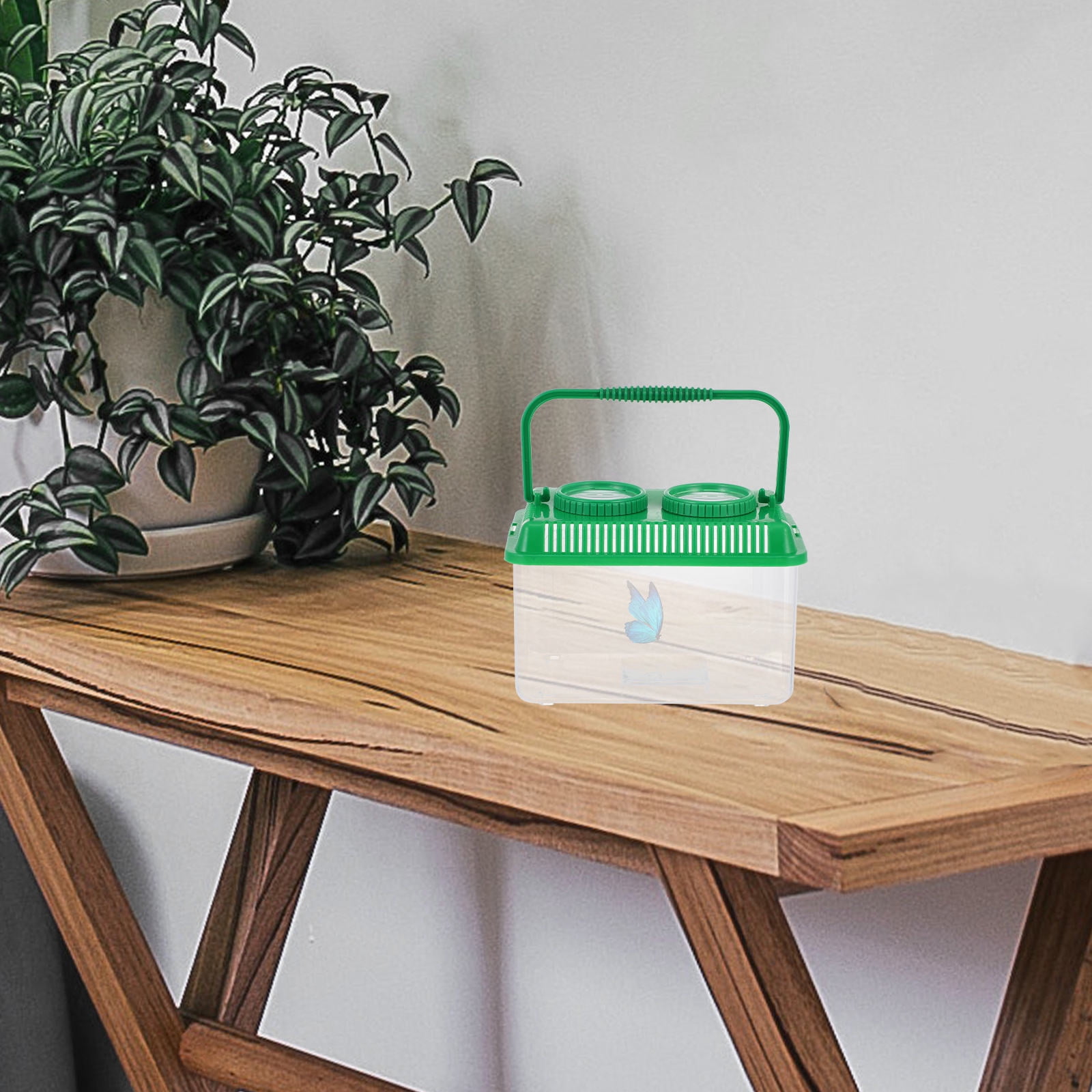 Raindrops Childrens Insect Viewer 1Pack Green Plastic Insect Observe ...