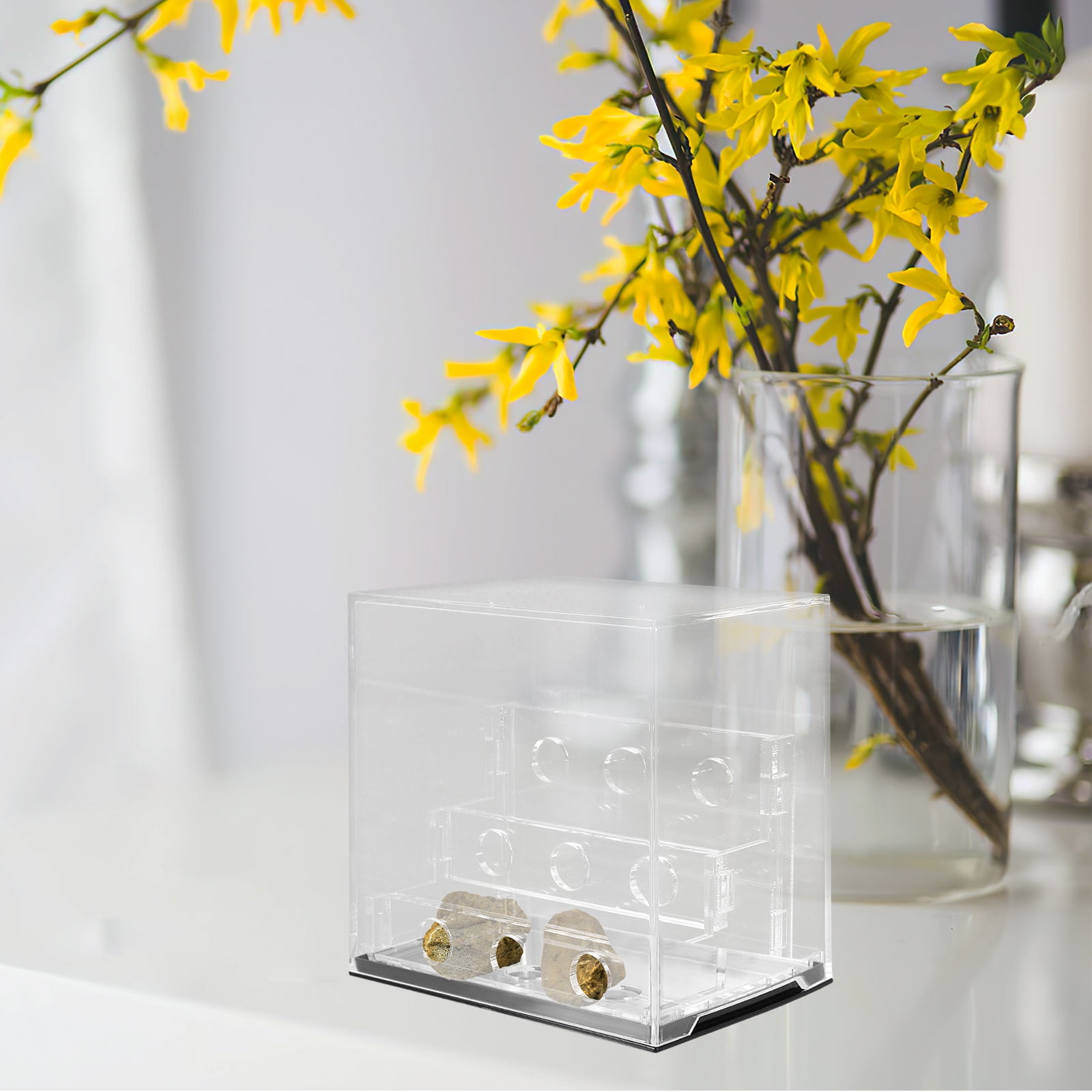 Raindrops Clear Display Case for Rocks Acrylic Rock Collection 1 Set ...