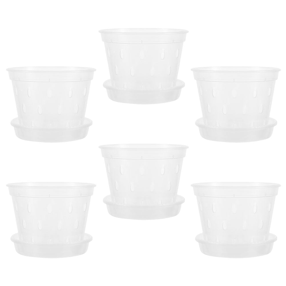 Raindrops Clear Plastic Orchid Pots 6Set for Indoor Nutrient Absorption ...