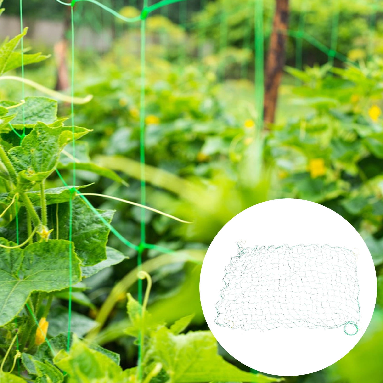 Raindrops Climbing Plants Net Garden Trellis Netting Climbing Vegetable ...