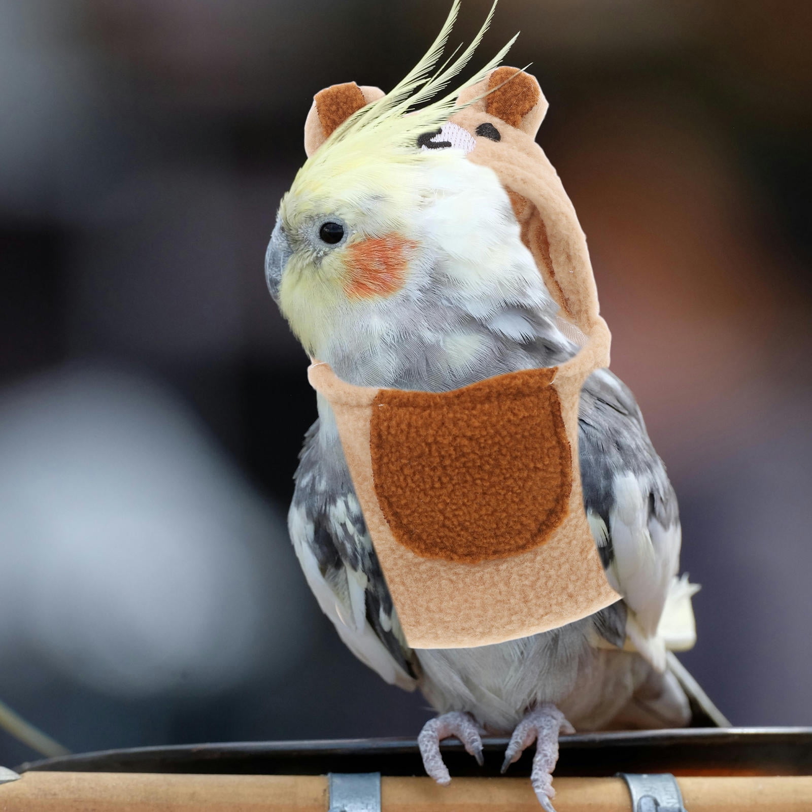 Raindrops Cockatiel Cosplay Clothes Parrots Hoodie Clothes Winter Bird ...