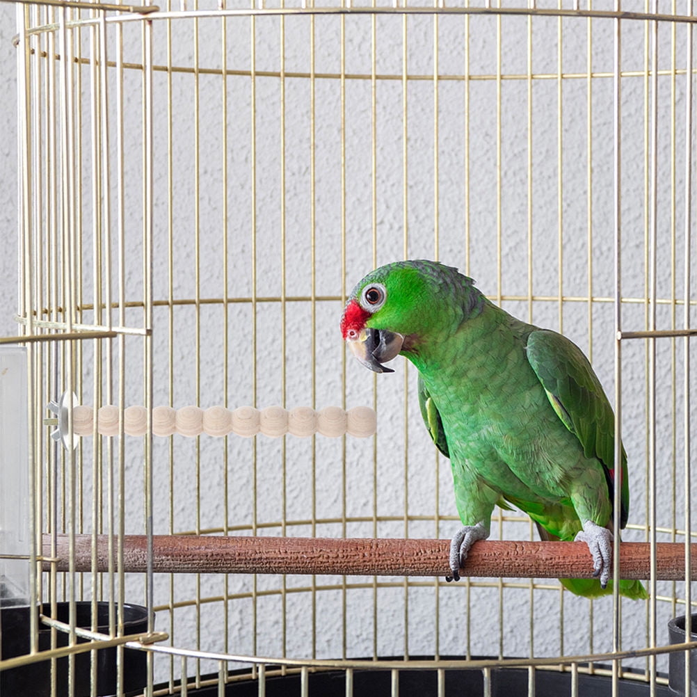 Raindrops Cockatiels Perch Parrot Cage Perch Paws Perch Parrot Standing ...