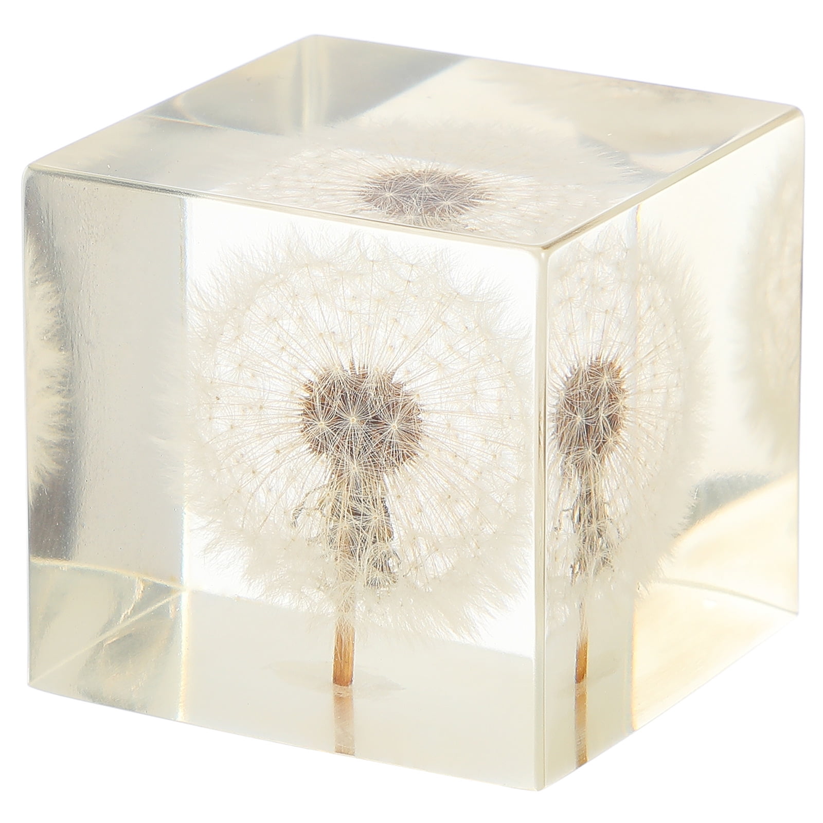 Raindrops Cube Desktop Decoration Creative Dandelion Transparent Craft ...
