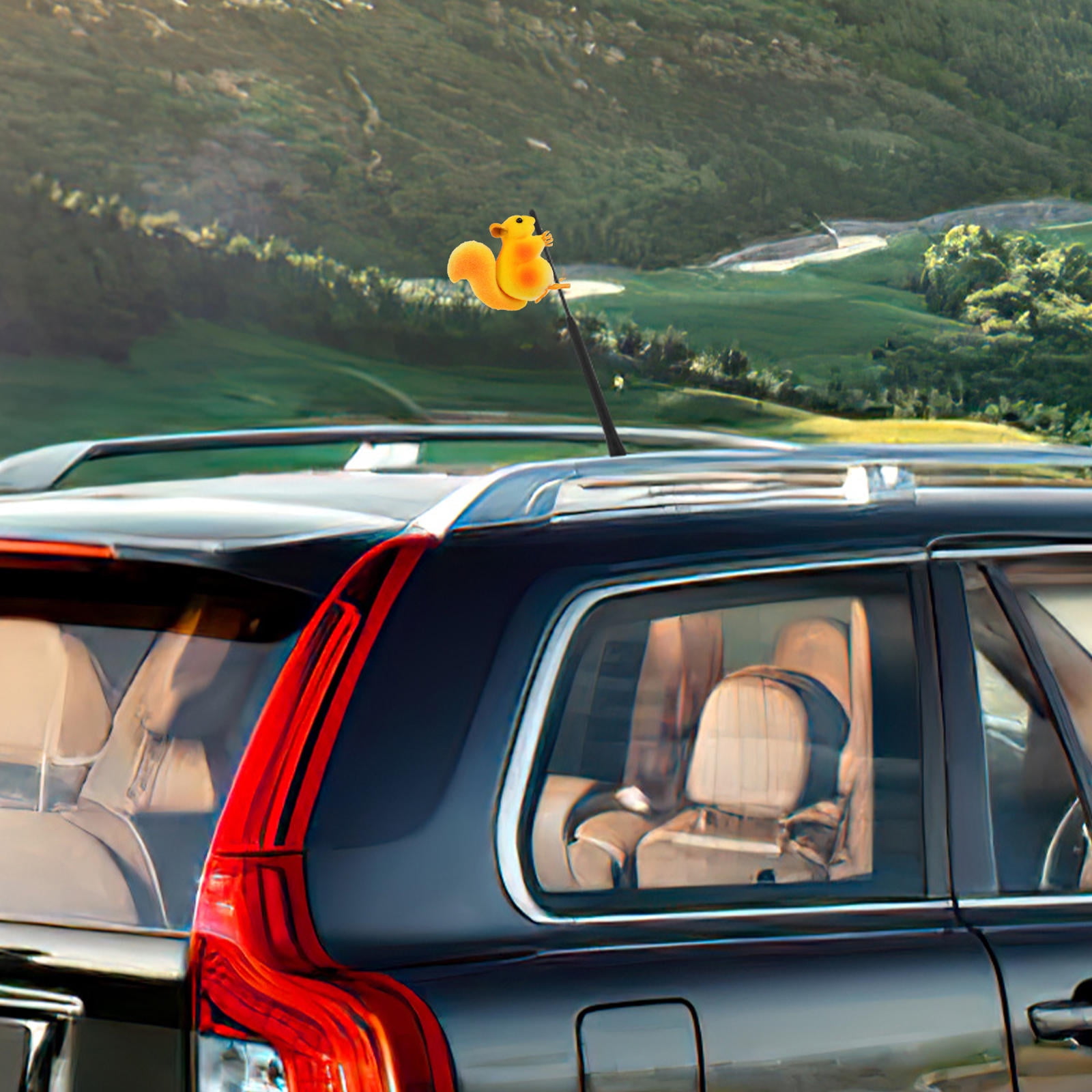 Raindrops Cute Squirrel Car Antenna Topper Vehicle Exterior Decoration ...